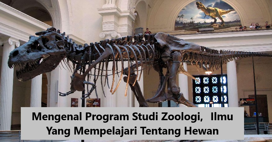 Mengenal Program Studi Zoologi, Ilmu Yang Mempelajari Tentang Hewan